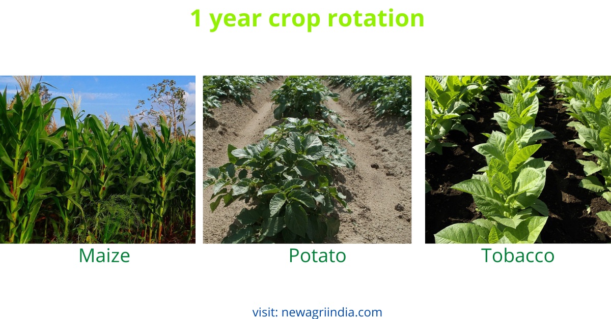 Crop Rotation and its advantages in agriculture